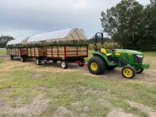Raprager Family Farm - Family-Friendly Tampa Bay